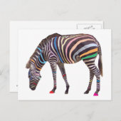 Rainbow Zebra Postcard | Zazzle
