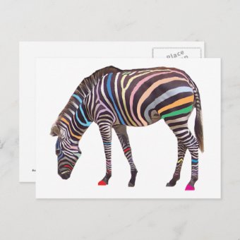 Rainbow Zebra Postcard | Zazzle