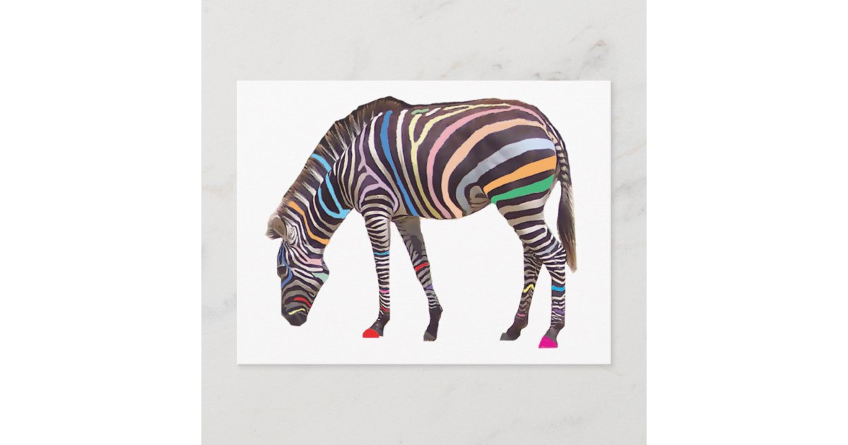 Rainbow Zebra Postcard | Zazzle