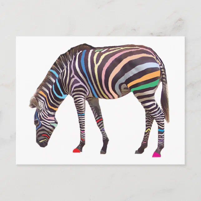 Rainbow Zebra Postcard | Zazzle