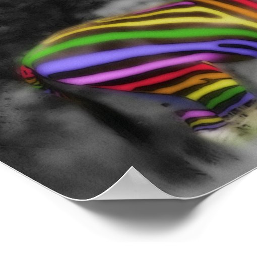 Rainbow Zebra Poster | Zazzle