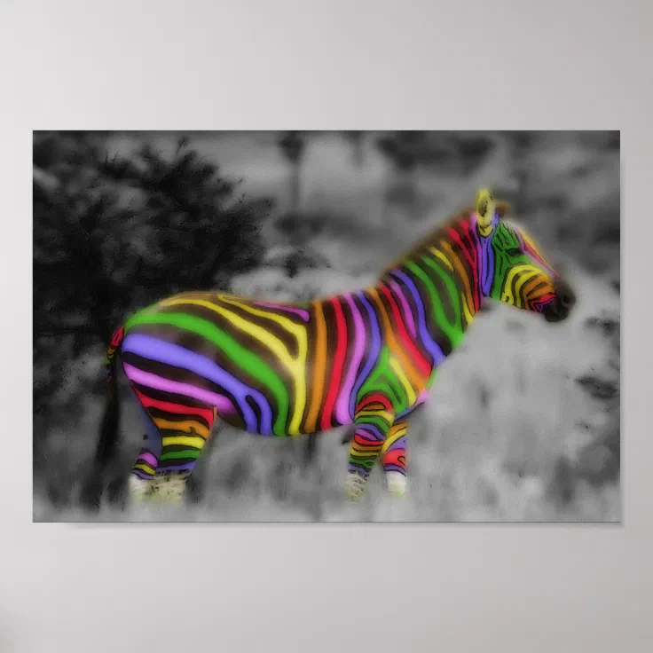 Rainbow Zebra Poster | Zazzle