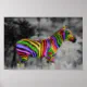 Rainbow Zebra Poster | Zazzle