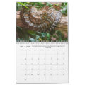 Rainforest Animals & Fun Facts 12 month Calendar | Zazzle