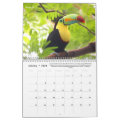 Rainforest Animals & Fun Facts 12 month Calendar | Zazzle