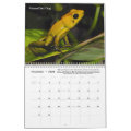 Rainforest Animals & Fun Facts 12 month Calendar | Zazzle