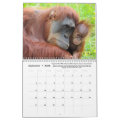 Rainforest Animals & Fun Facts 12 month Calendar | Zazzle