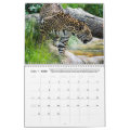 Rainforest Animals & Fun Facts 12 month Calendar | Zazzle