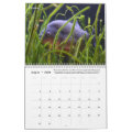 Rainforest Animals & Fun Facts 12 month Calendar | Zazzle