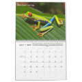 Rainforest Animals & Fun Facts 12 month Calendar | Zazzle
