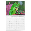 Rainforest Animals & Fun Facts 12 month Calendar | Zazzle
