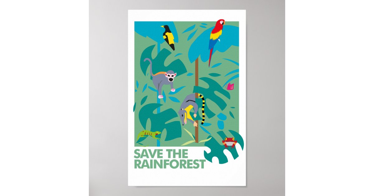 RAINFOREST POSTER | Zazzle