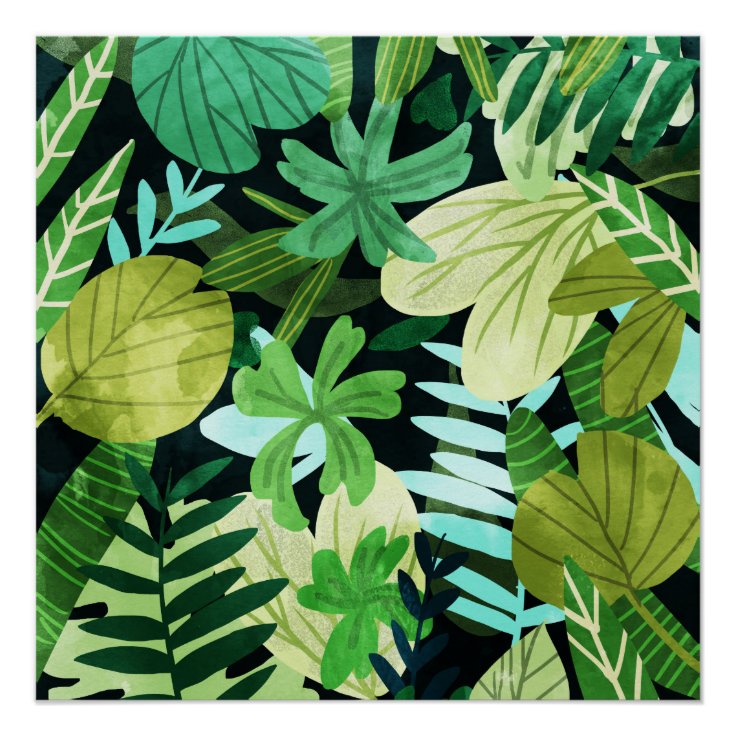 Rainforest || poster | Zazzle