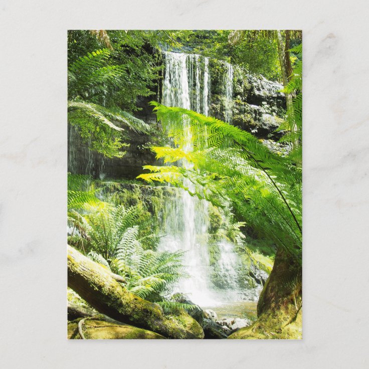 Rainforest Waterfall Postcard | Zazzle