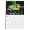Rainforests Calendar | Zazzle