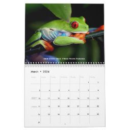 Rainforests Calendar | Zazzle