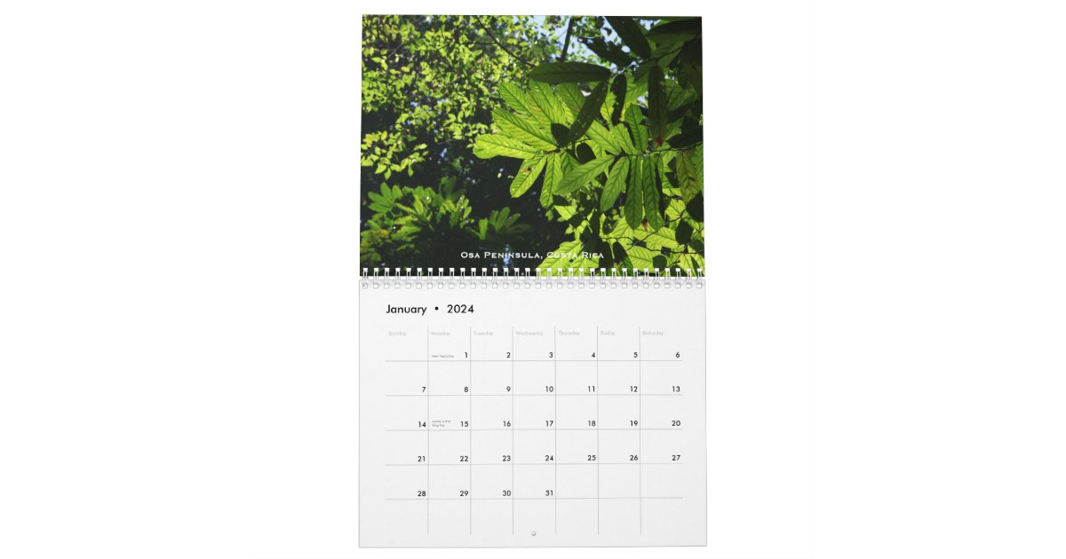 Rainforests Calendar | Zazzle