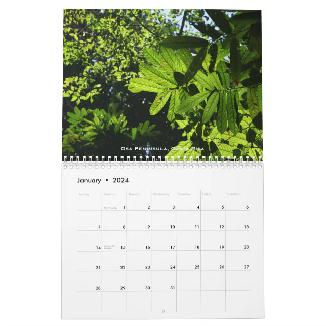 Rainforests Calendar | Zazzle