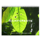 Rainforests Calendar | Zazzle