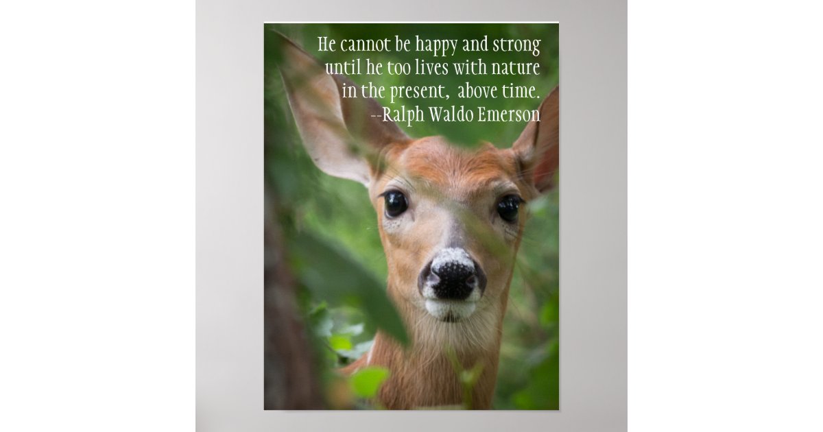 Ralph Waldo Emerson Nature Quote Poster | Zazzle