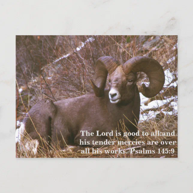 Ram bible verse postcard | Zazzle