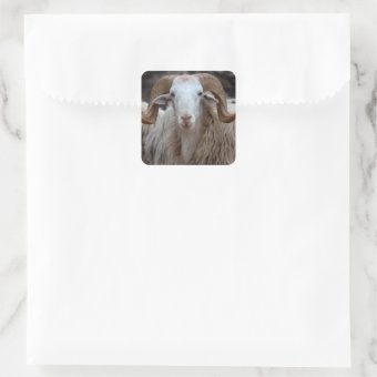 Ram Stickers | Zazzle