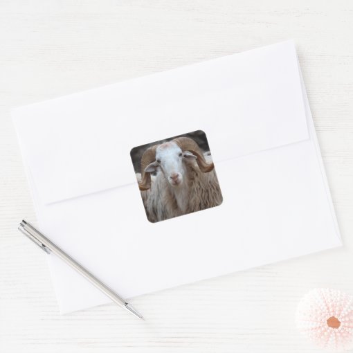Ram Stickers | Zazzle