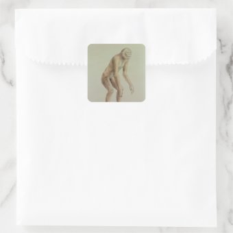 Ramapithecus Square Sticker | Zazzle