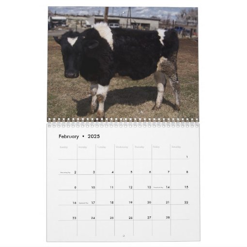 Ranch Life - Cattle Calendar | Zazzle