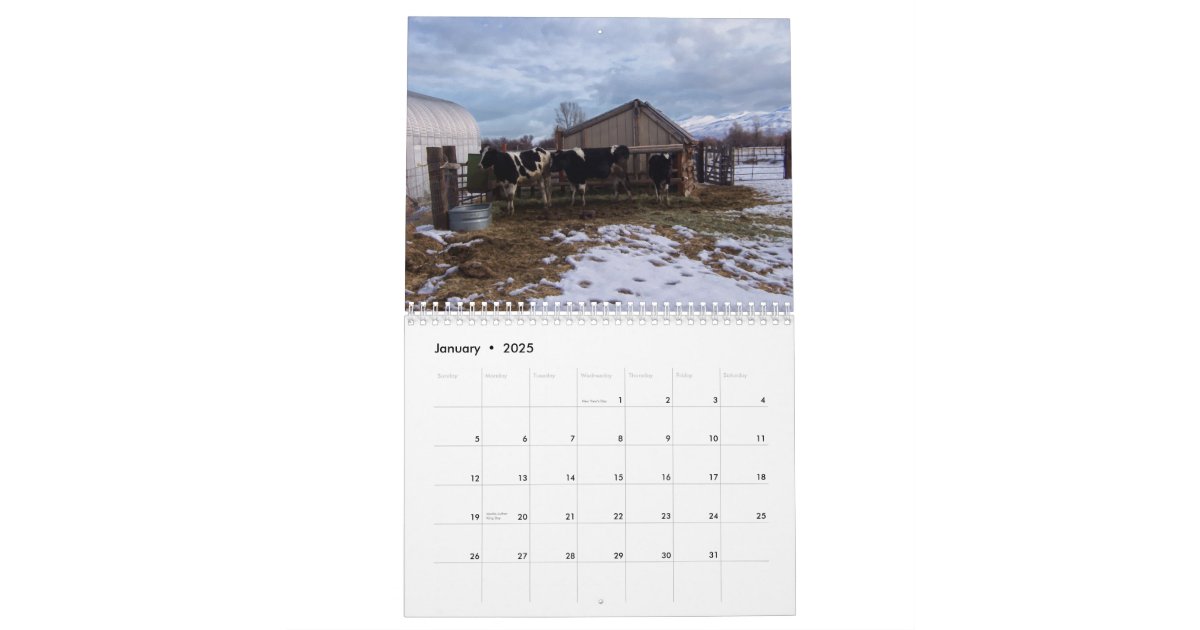 Ranch Life - Cattle Calendar | Zazzle