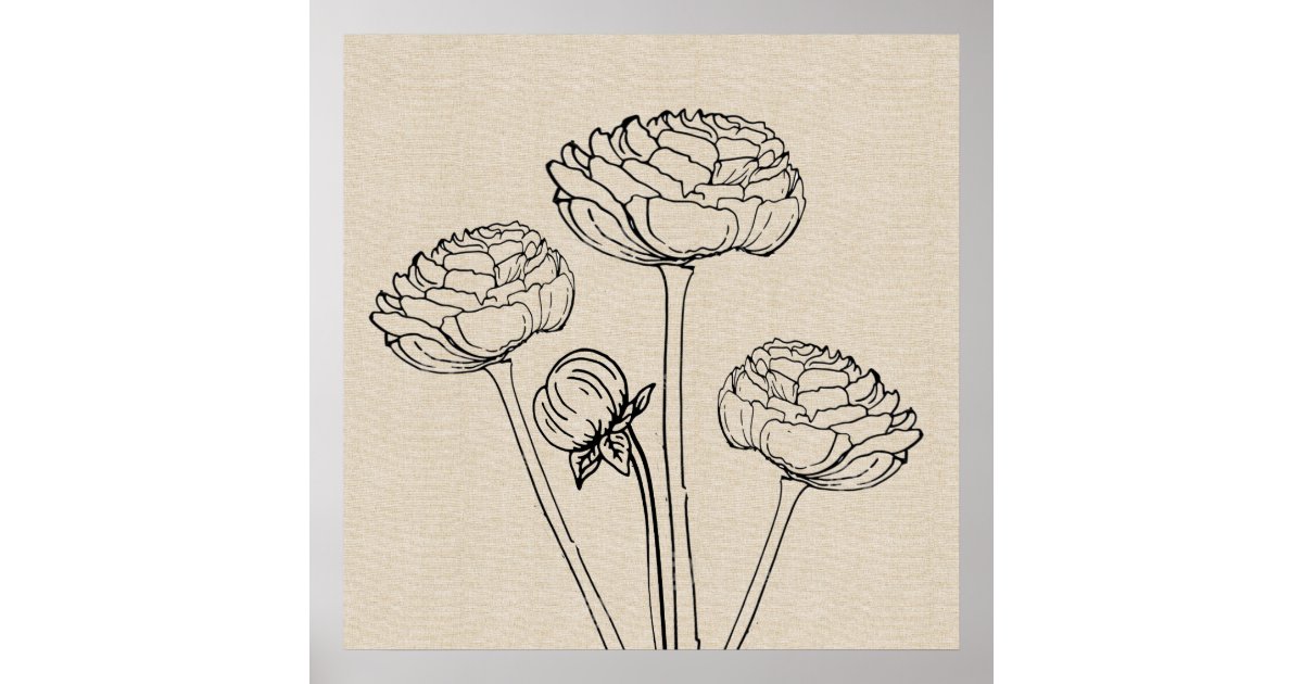 Ranunculus Drawing Canvas Flower Poster | Zazzle
