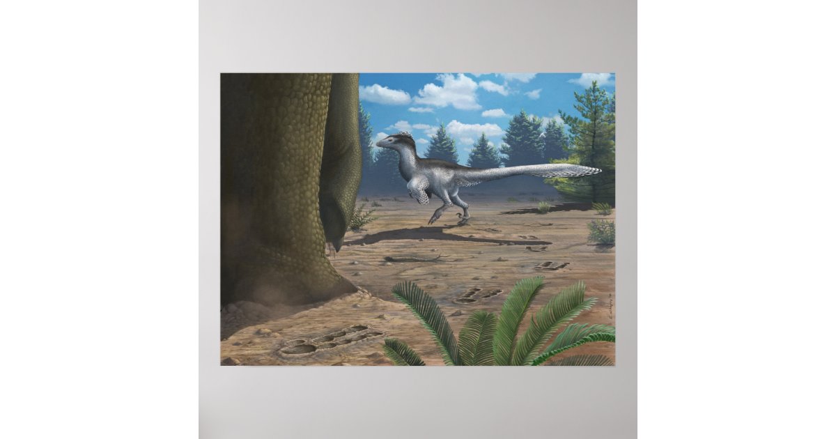 Raptor Tracks Print | Zazzle