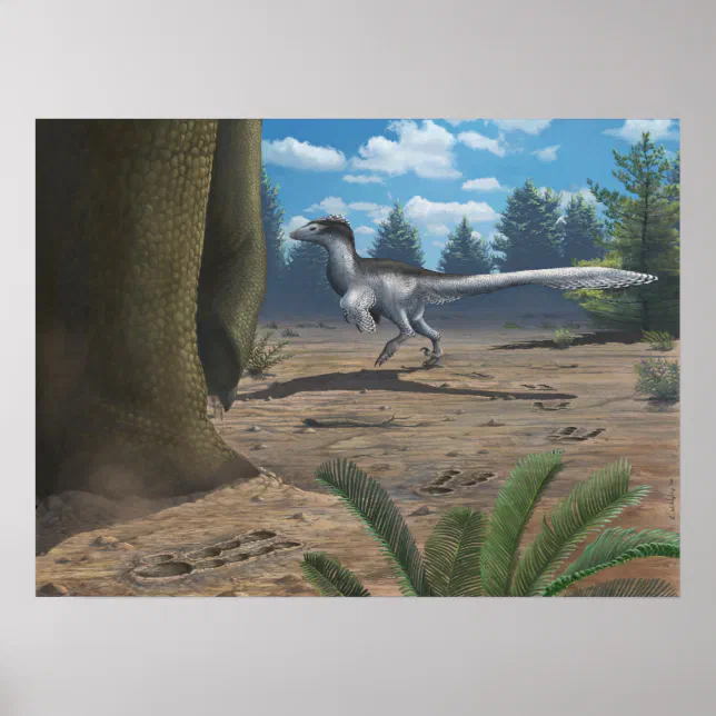 Raptor Tracks Print | Zazzle