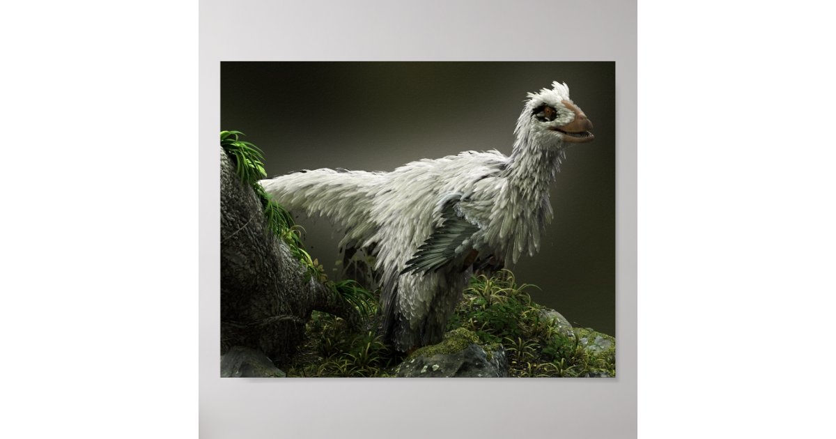 Raptor with feathers poster | Zazzle