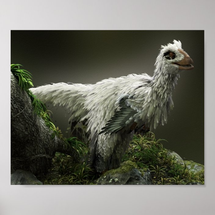 Raptor with feathers poster | Zazzle.com