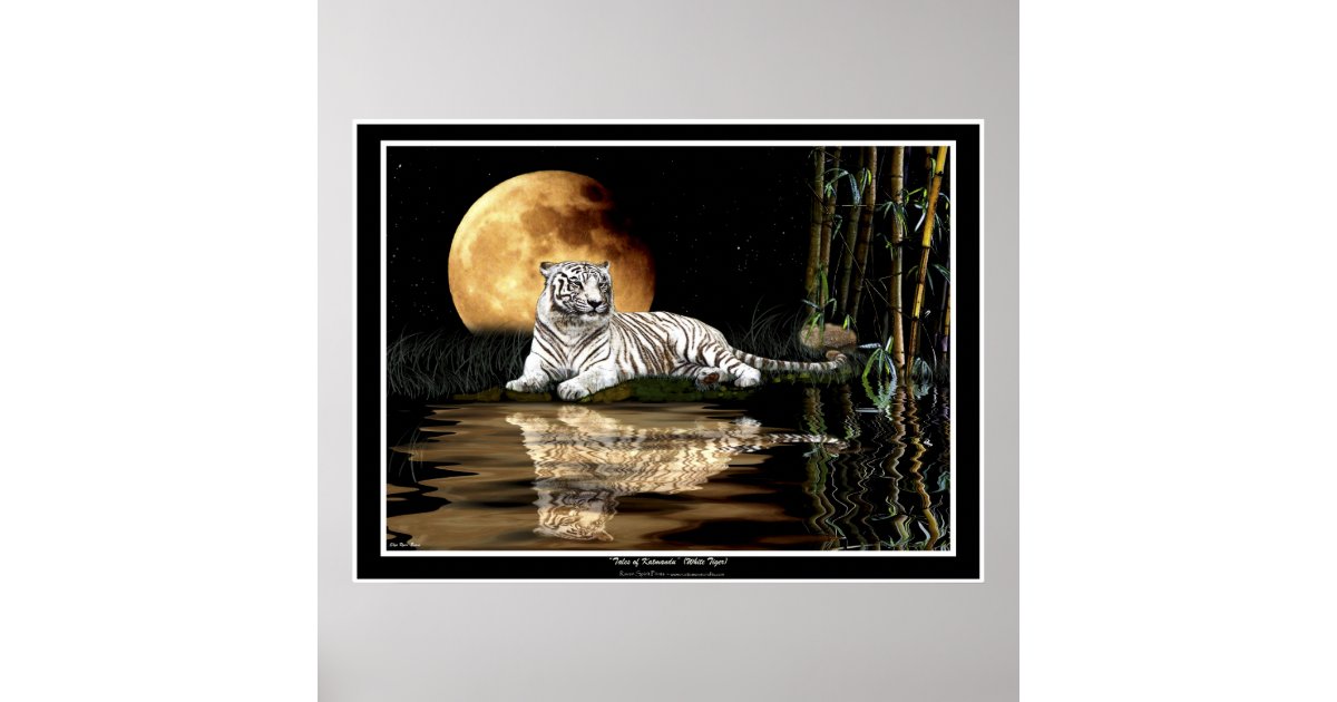 RARE WHITE TIGER & MOON Art Prints & Posters | Zazzle
