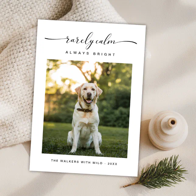 Rarely Calm Always Bright Cute Dog Photo Christmas Holiday Card | Zazzle