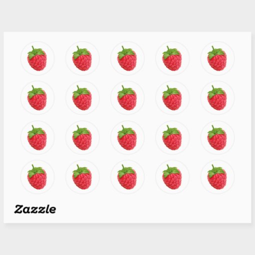Raspberries Classic Round Sticker | Zazzle