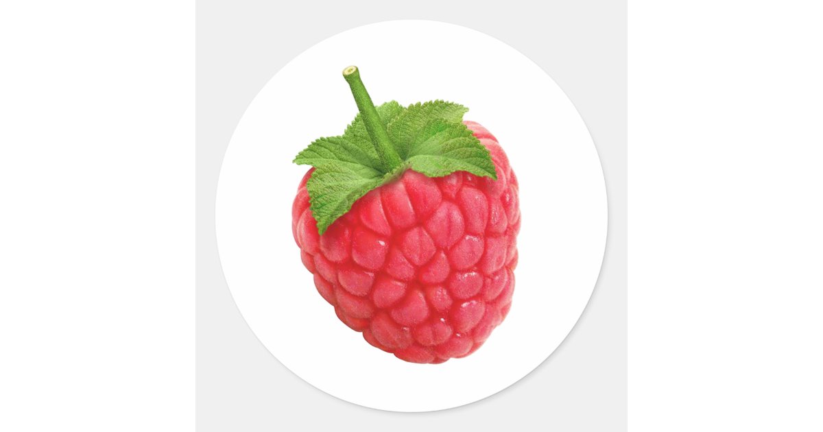 Raspberries Classic Round Sticker | Zazzle