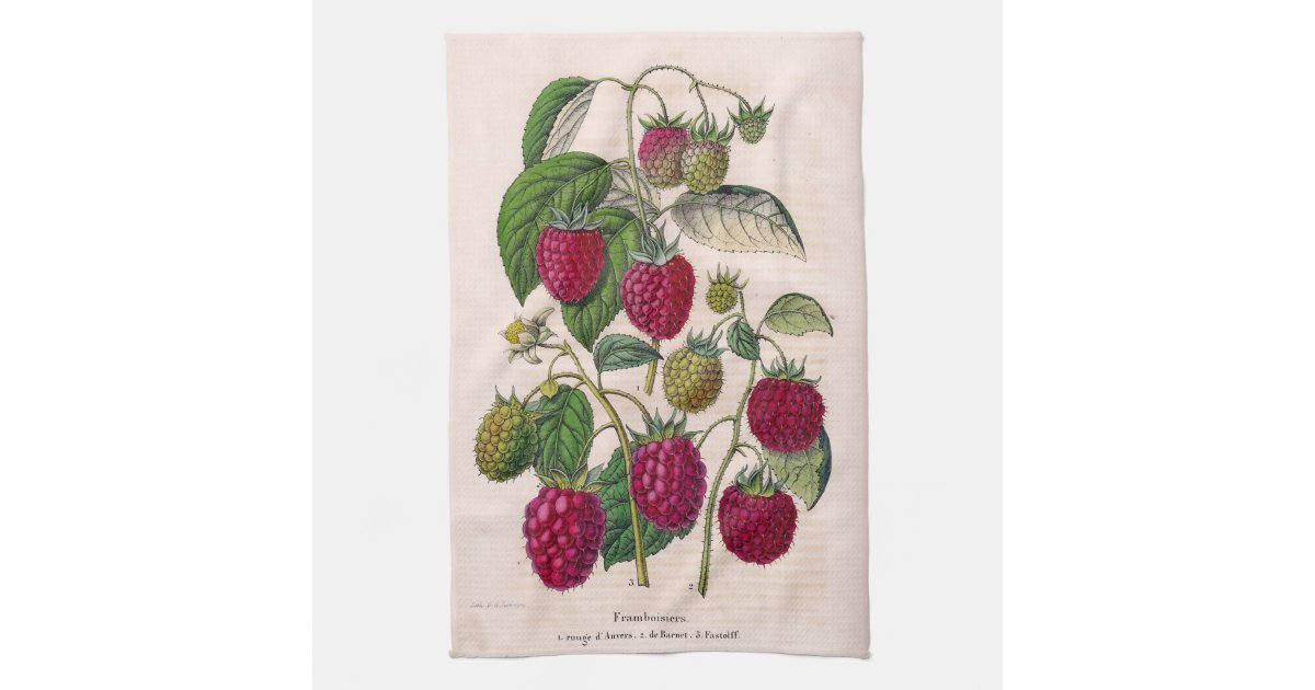 Raspberries Kitchen Towel | Zazzle