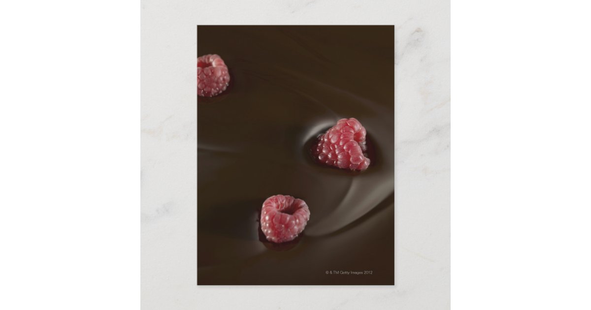 raspberry chocolate postcard | Zazzle