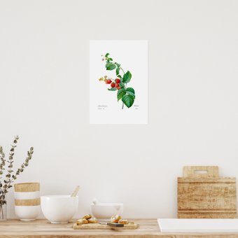 Raspberry Poster | Zazzle