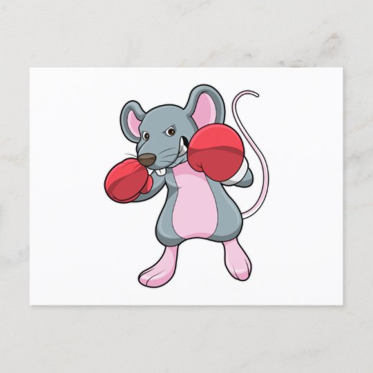 Rat at Boxing with Boxing gloves Postcard | Zazzle.com