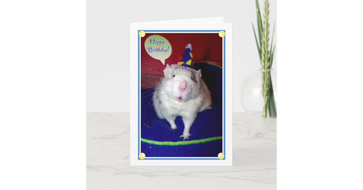 Rat Birthday Card | Zazzle.com