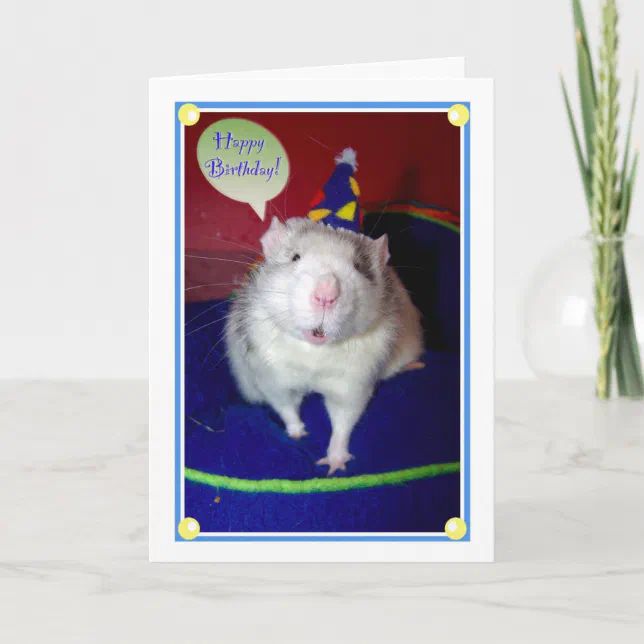 Rat Birthday Card | Zazzle