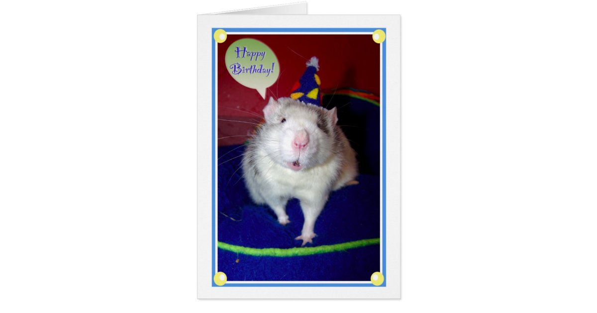 Rat Birthday Card | Zazzle.com