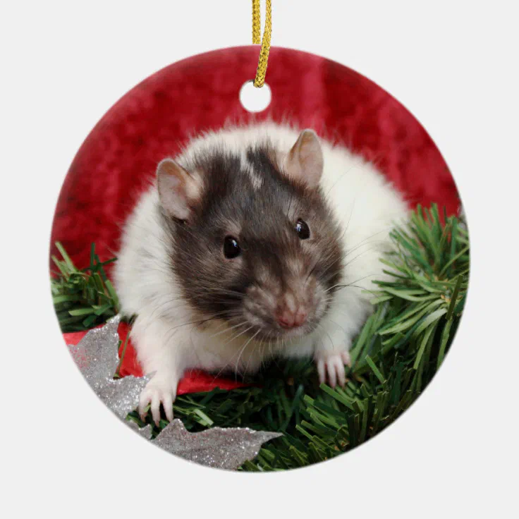 Rat Christmas Ornament | Zazzle