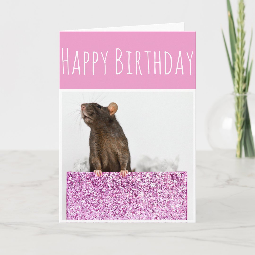 Rat Gift Birthday Card | Zazzle