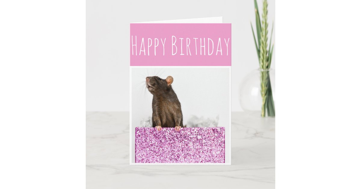 Rat Gift Birthday Card | Zazzle