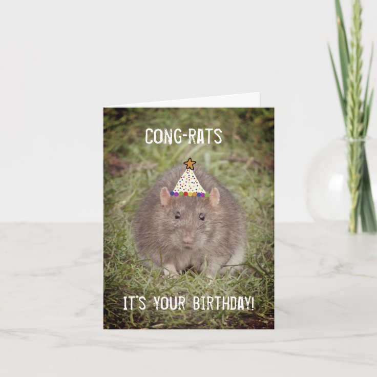 Rat Happy Birthday - Fun card | Zazzle